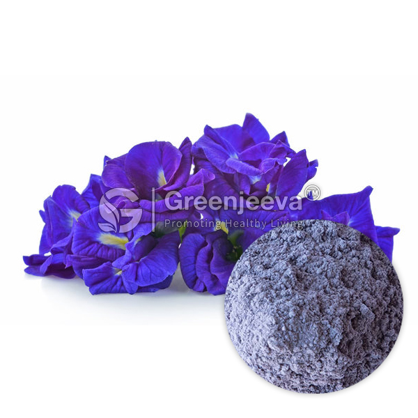 USDA Approved Bulk Organic Blue Butterfly Pea Flower Powder Supplier in USA
